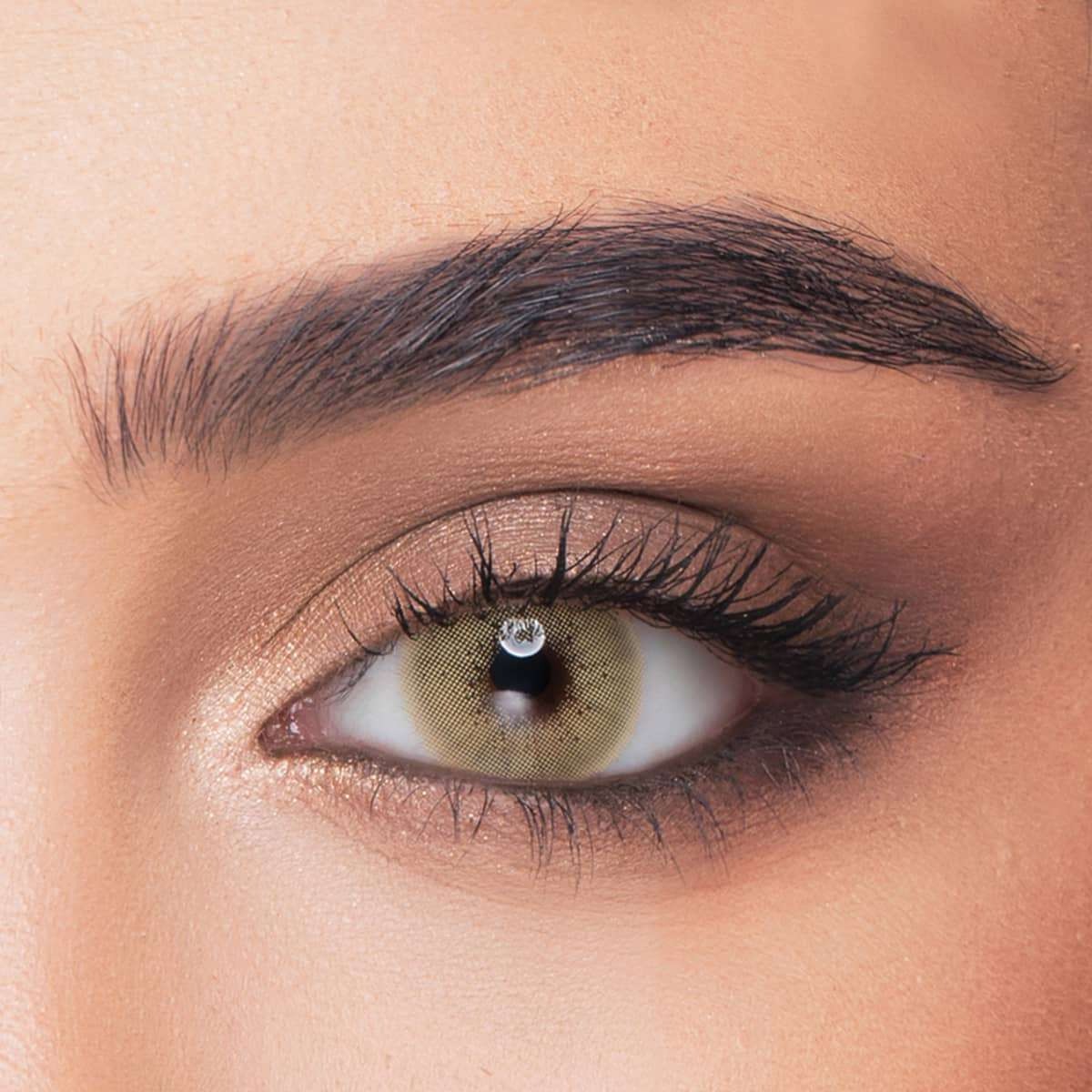 Choco Hazel – Lens Hawk